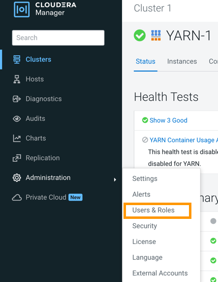 Providing read-only access to Queue Manager UI